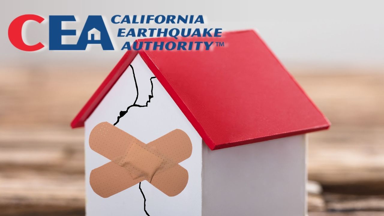 CEA feels reinsurance rate relief, but must keep members on the hook ...